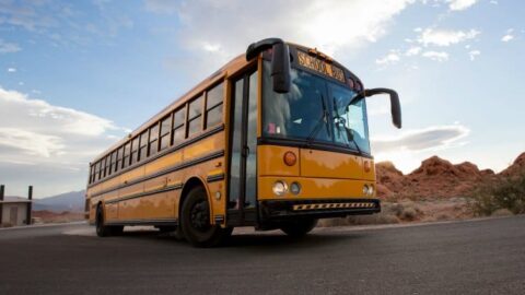 How Long is a School Bus? (Conversion FAQs)