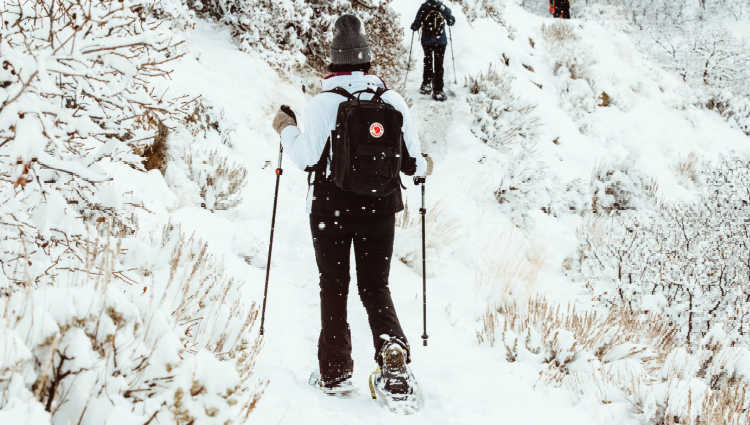 Snowshoeing VS Hiking: Which is more difficult?