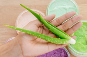 Does Aloe Vera Gel Expire? (Types/Shelf-life FAQs)
